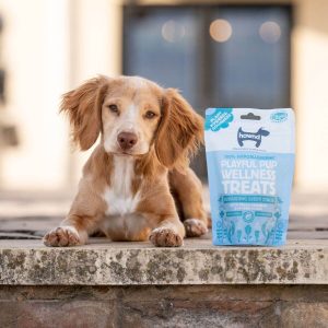 Playful Pup Wellness Treats 100g Hypoallergenic Vegan Dog Treats